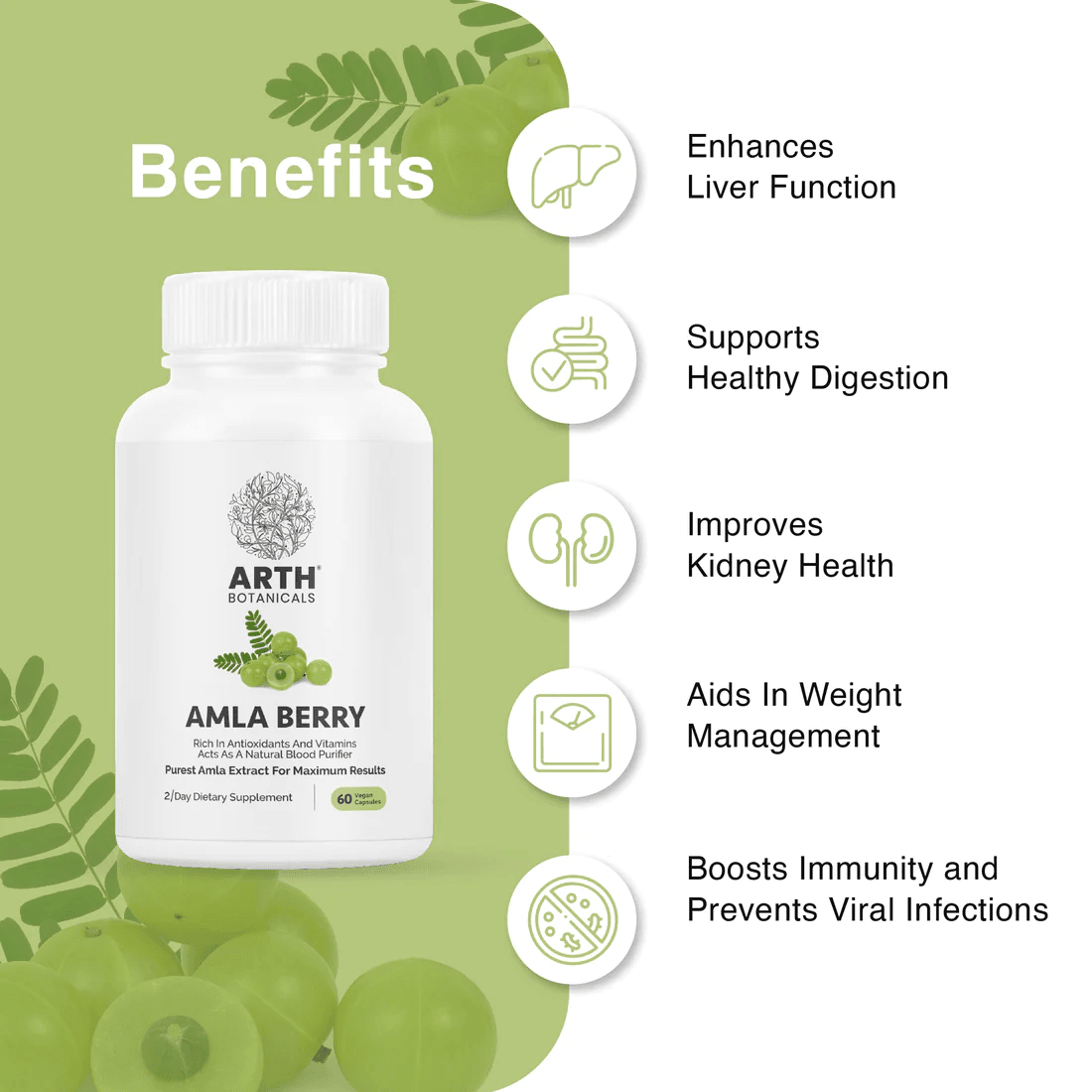 Buy Amla Berry Supplement to Improve Immunity Online – ArthBotanicals